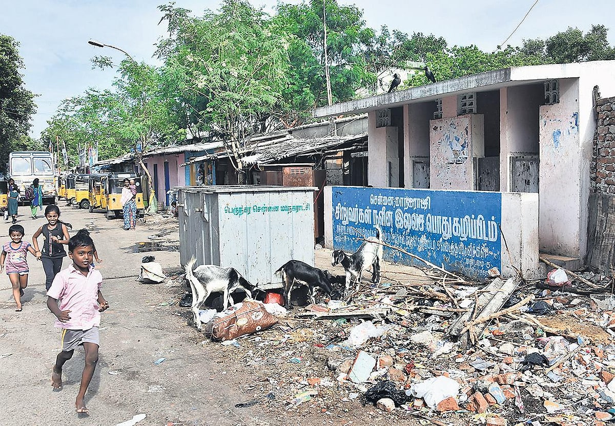 Toiling for toilets in Chennai