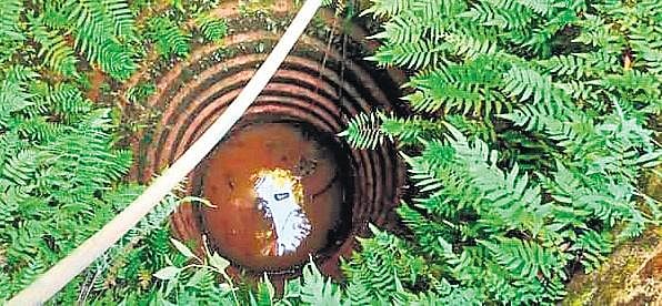 Bizarre: Hole forms on ground suddenly, takes woman on roller coaster ...