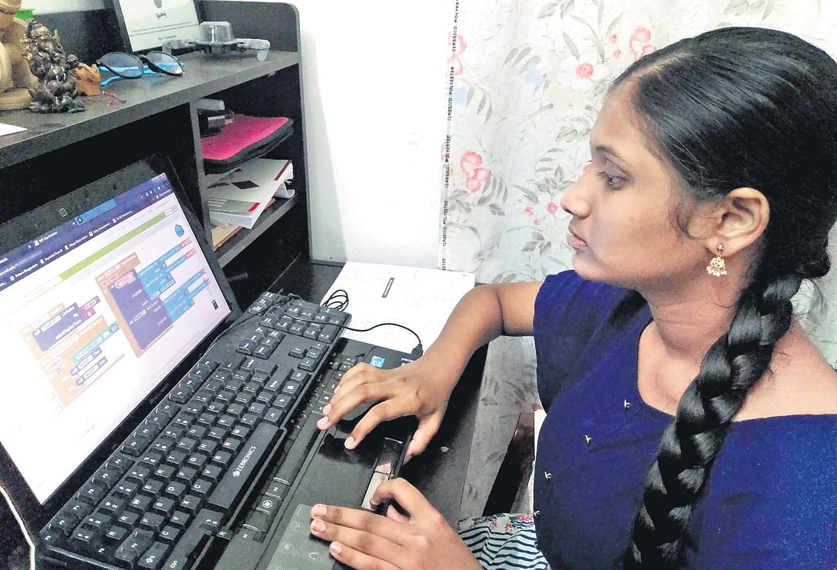 Curious cubs committed to coding