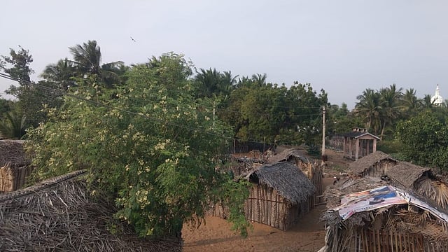 15 years on, the Tsunami-affected in Vembar still fighting for patta ...