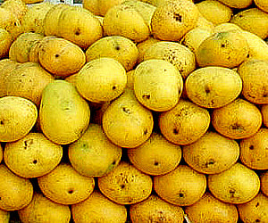 Now, get money and mangoes at your doorstep courtesy Karnataka postal ...