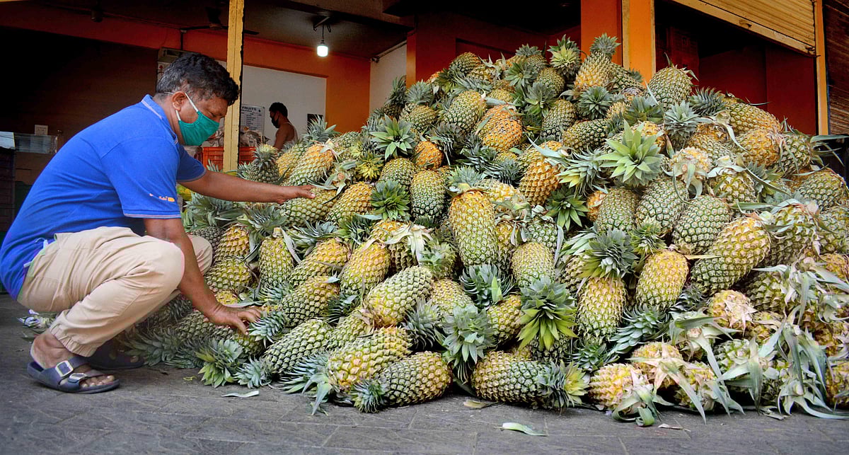 Rural income growth key to reviving economy