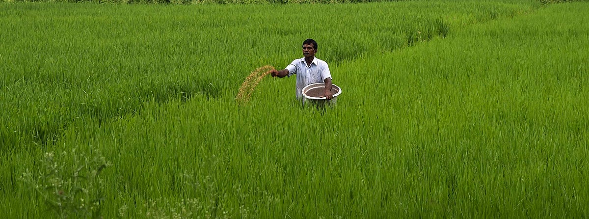 Agricultural, allied activities allowed to operate in second phase of ...