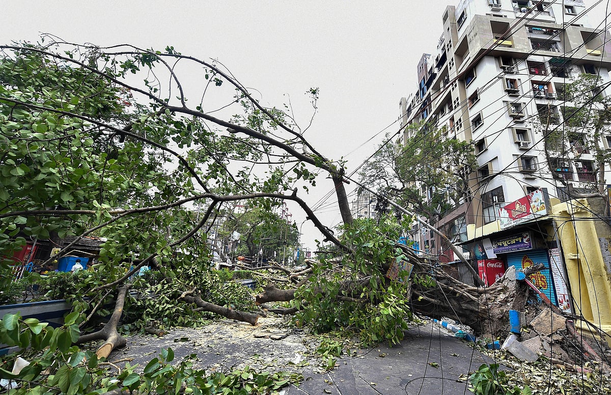 Cyclone Amphan aftermath: Drinking water, electricity restored in most ...