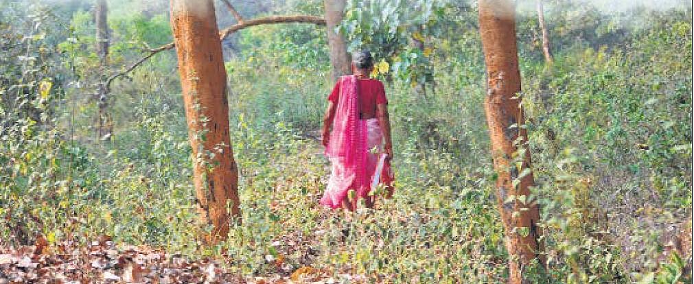 Tribals in Uttara Kannada's Joida show the way to self-isolation amid ...
