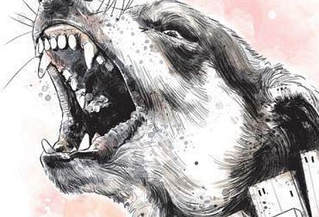 Rabies vaccine, treatment can be given along with that of COVID-19: APCRI