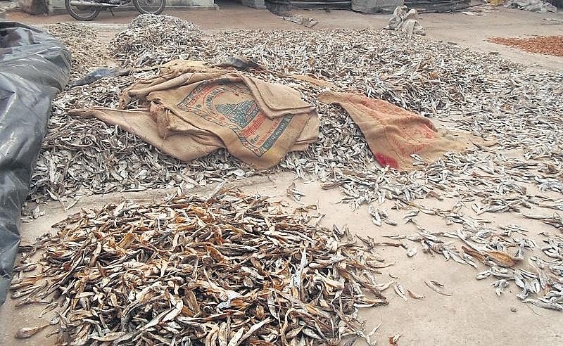 Revenue officials inspect 'odour causing' fishing units at Pottaloorani