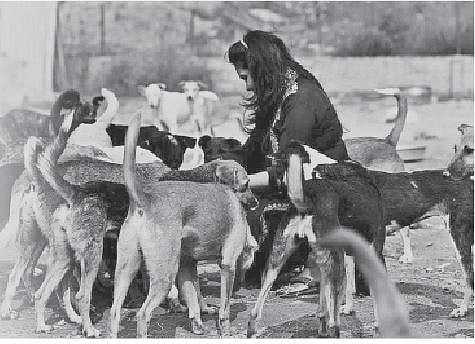 Plight of the man’s best friend during COVID-19 pandemic