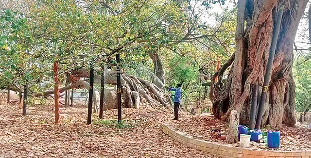 Pillalamarri finally breathes a sigh of relief