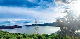 Forest, revenue depts spar over land in suburbs