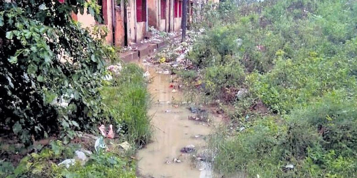 Sewage stagnation raises dengue fears of tenements at Chennai's Perumbakkam
