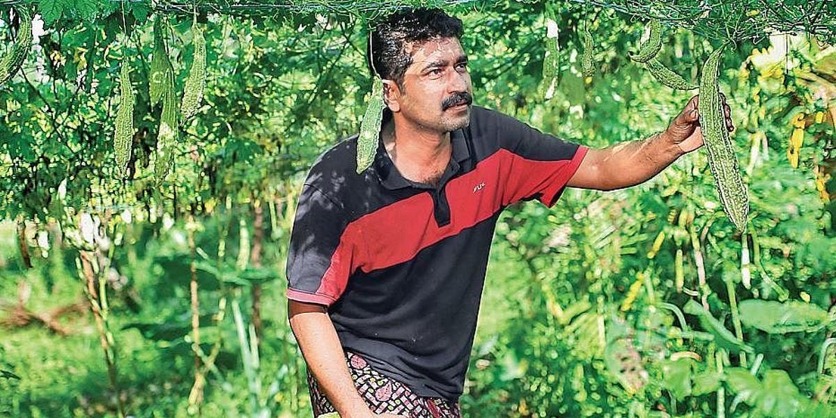 Kerala's 'agro gym' offers complete body workout using organic farming