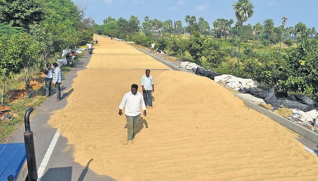 Rs 17 crore for delta farmers who lost kuruvai paddy