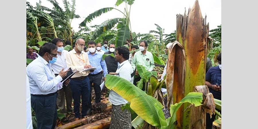 Central team inspects flood-hit Nellore district