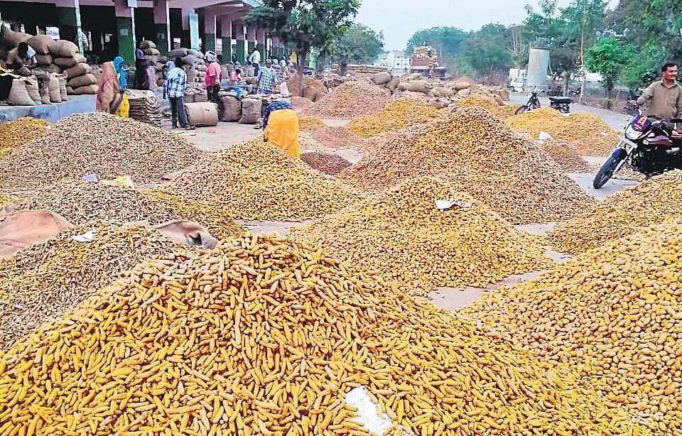 Hamalis in Nizamabad urge Telangana government to come to their rescue