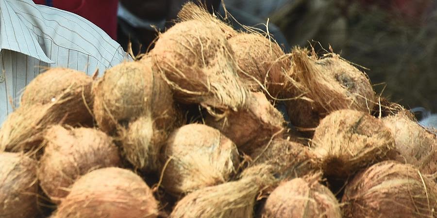 Tiruppur farmers yet to tap Neera's potential