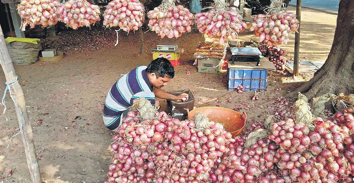 Karnataka's Ishad mangoes, Kumta onions, Bhatkal jasmine start journey ...