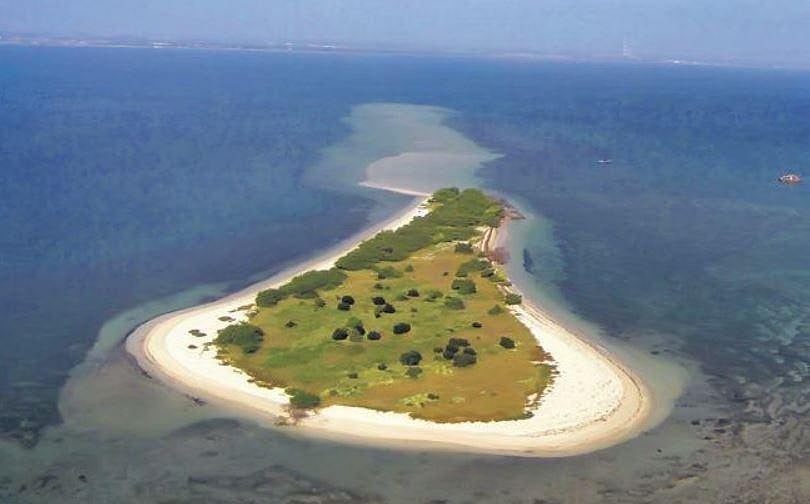 Gulf of Mannar’s Vaan Island: Turning over a new reef