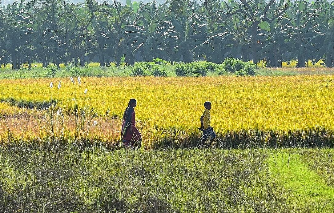 Andhra farmers to receive Rs 7,000 as first instalment today