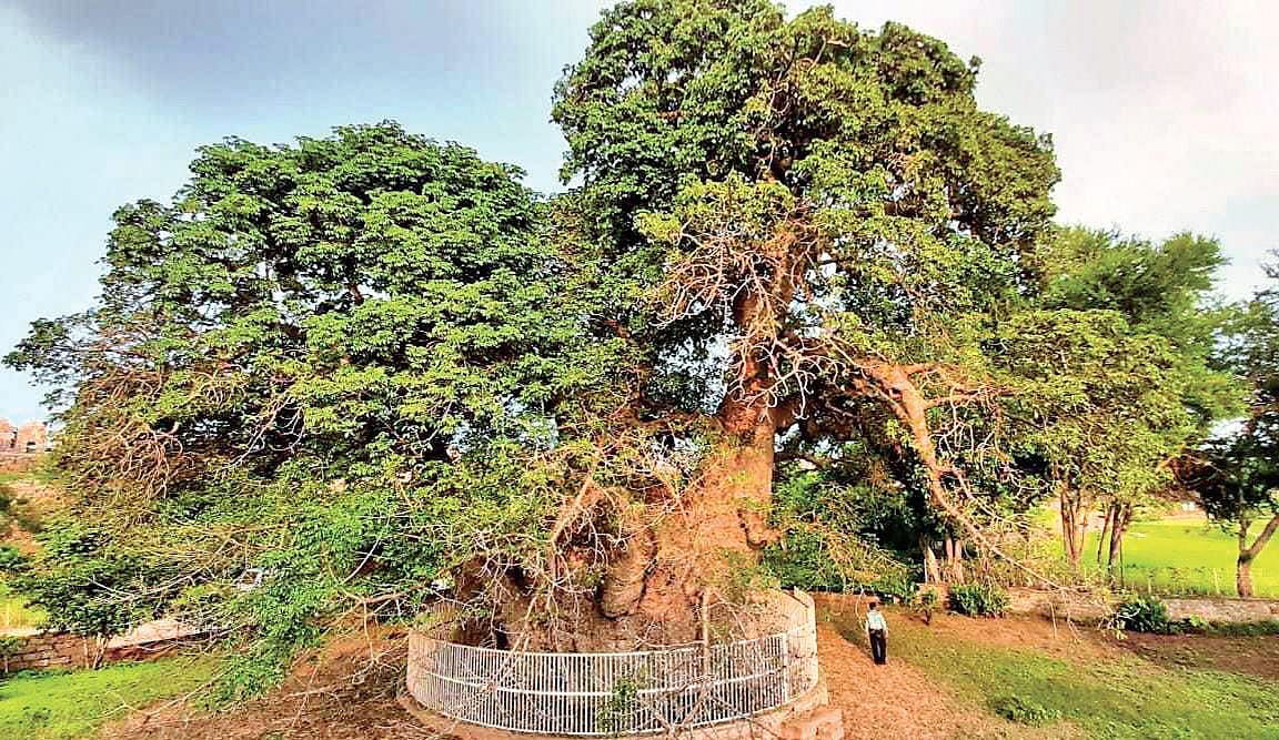 Hyderabad’s very own Sleepy Hollow
