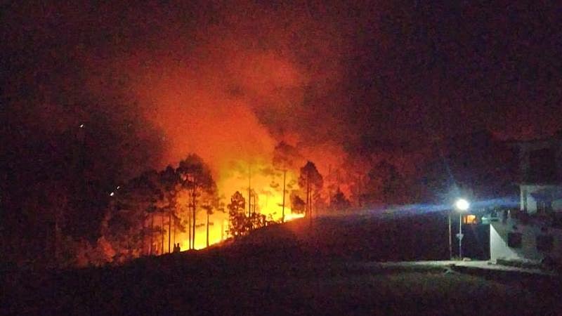 ‘Blind period’ in NASA's forest fire data a worry