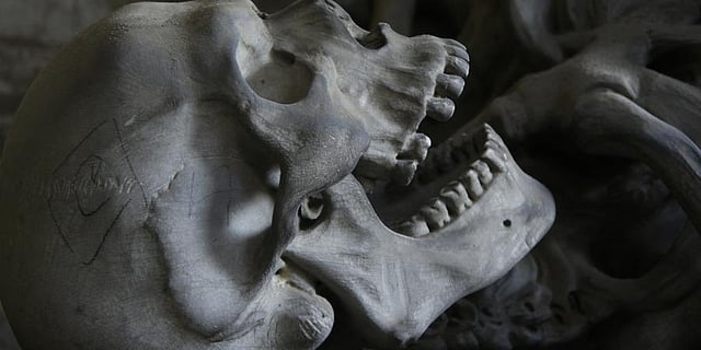 Day after skeleton found in bush, tollgate staff held