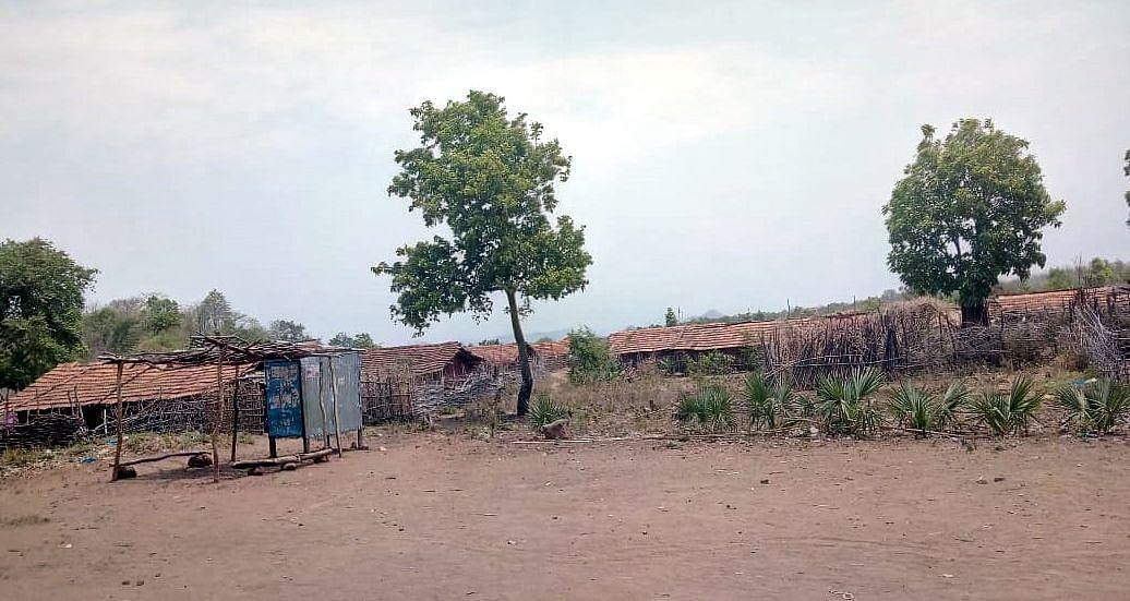 Telangana: 20,000 Gottikoya tribals in peril, hunger and jobless