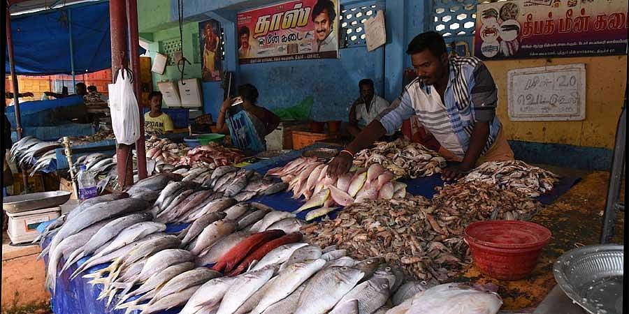 Chennai fish markets inspected
