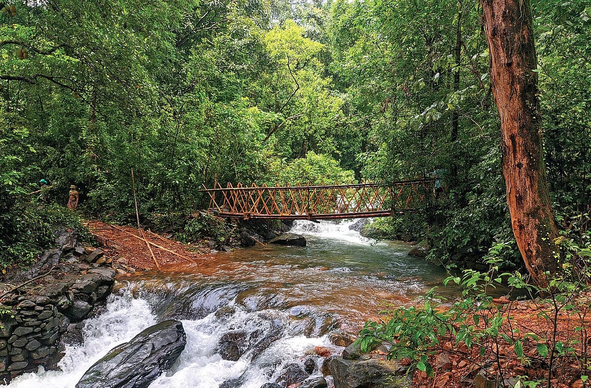 Building green bridges