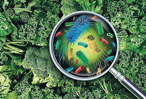 How to prevent food poisoning