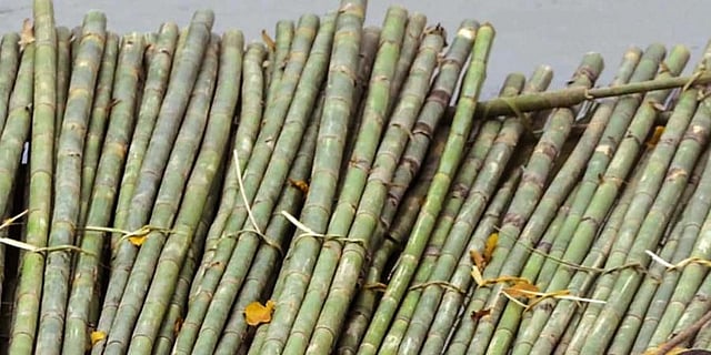 Tripura man makes utensils out of bamboo waste