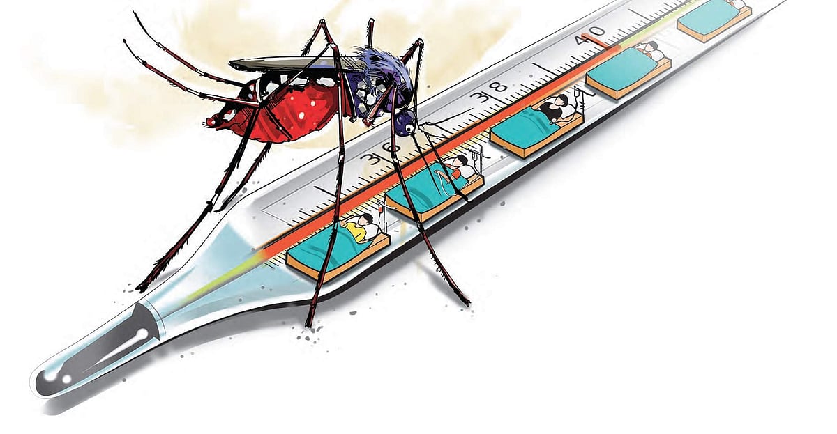 Karnataka: Doctors warn not to ignore fever, even if dengue tests negative