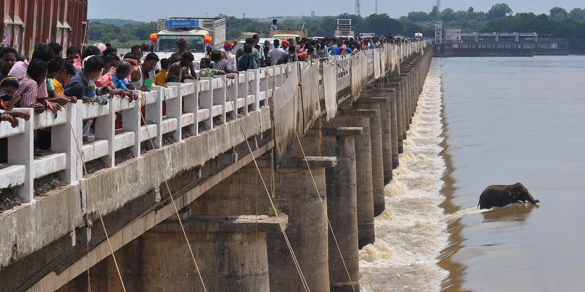 Odisha river tragedy: ODRAF team may have acted on its own