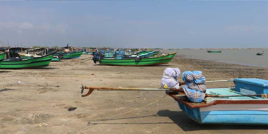 Amid controversy, Tamil Nadu fisheries dept begins issuing licence for ...