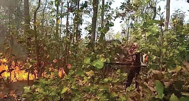 Rs 522 lakh for scheme to prevent forest fire