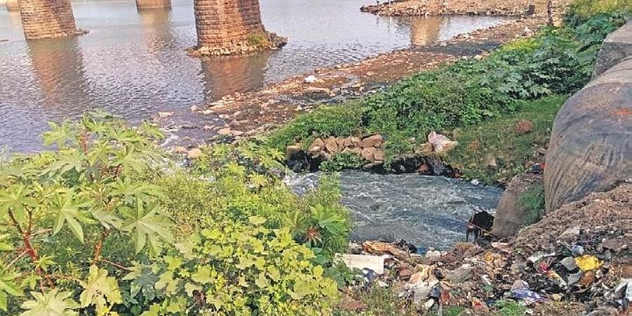 Despite NGT directive, Mahanadi pollution continues unabated