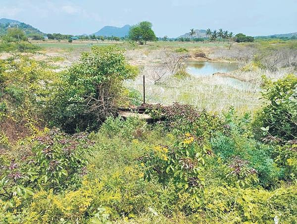 73 PWD-managed lakes in dire straits; Perambalur farmers seek official ...