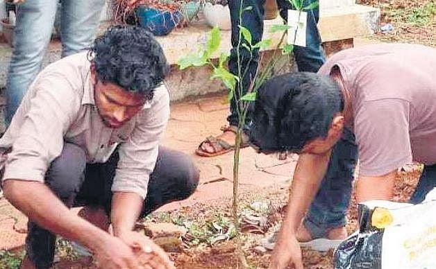 Cusat students set up second butterfly park on campus