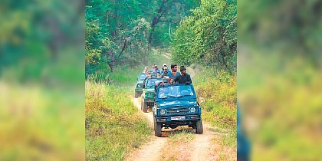 Jungle Book of Churna: Safari zone in Satpura Tiger Reserve
