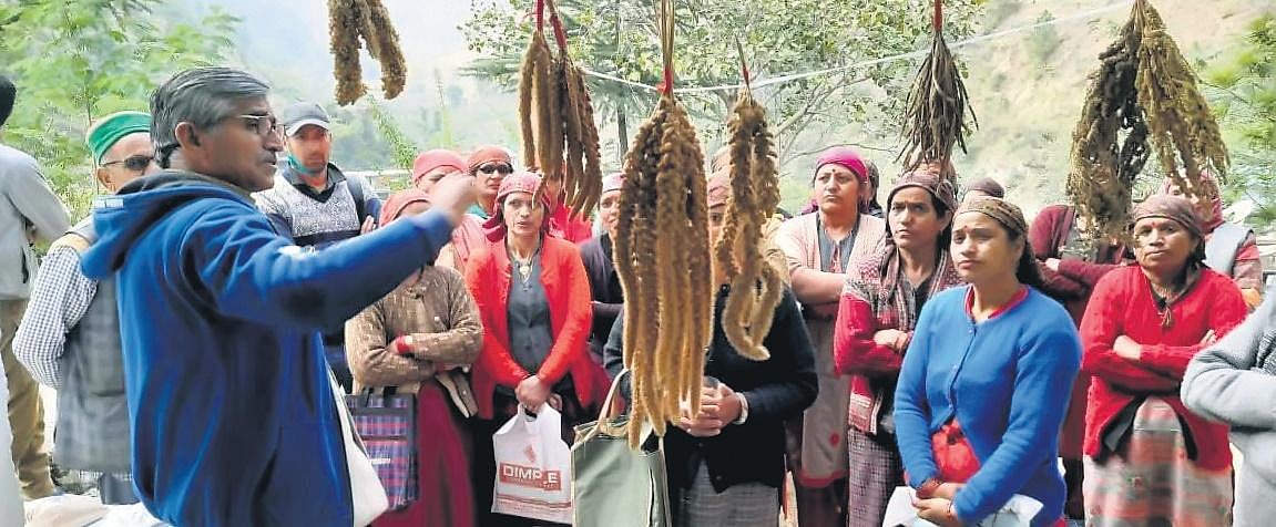 Saviour of indigenous seeds & farming style