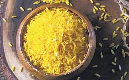 International rice body to seek approval for Golden Rice use in India