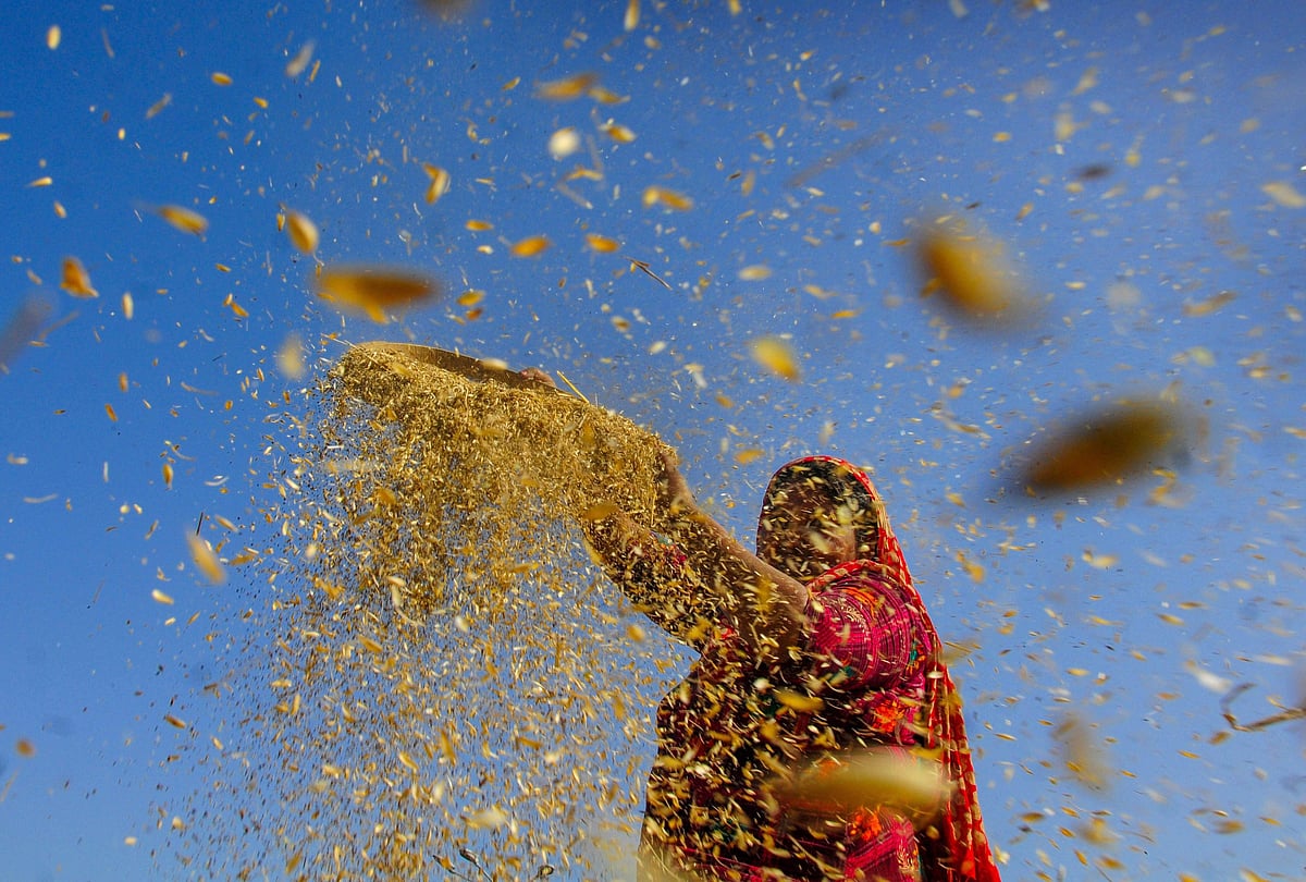 Telangana to produce 82 LMT of rice this Kharif, estimates Centre