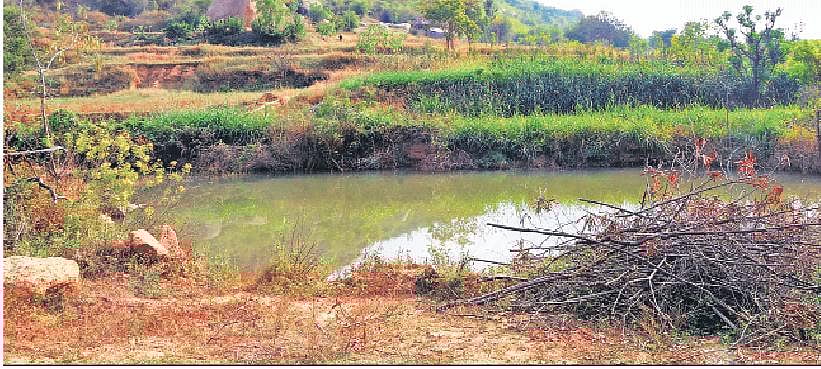 Barren hamlet to land bristling with life