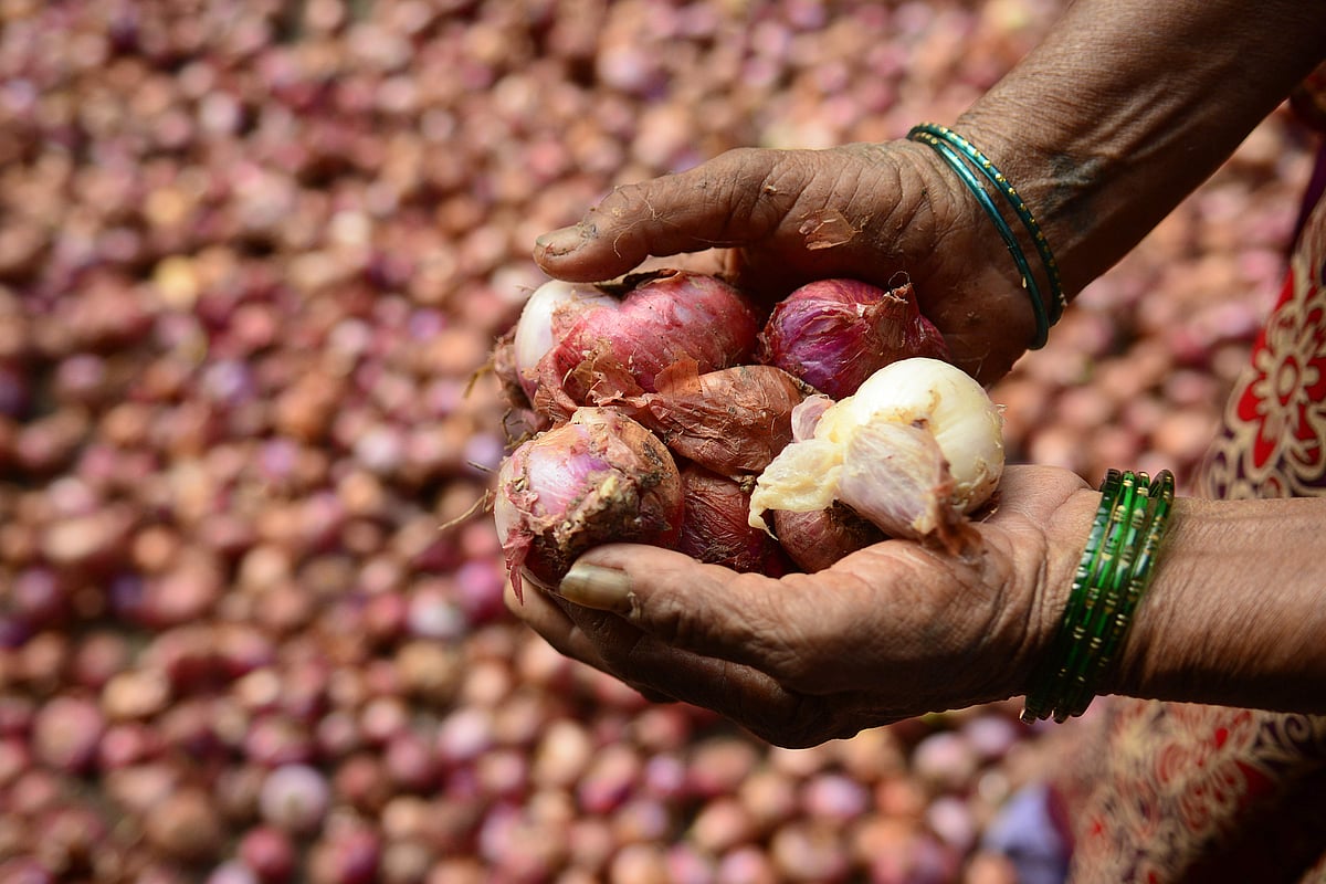 Maharashtra govt announces sops for onion farmers