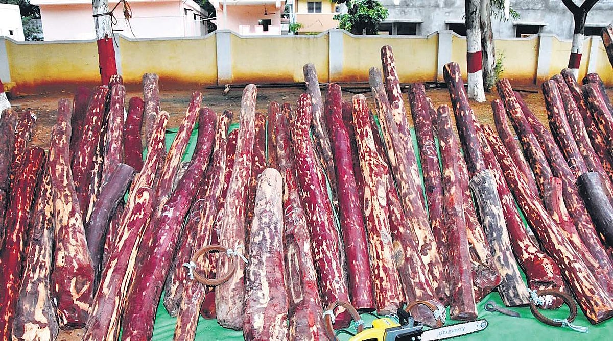 Andhra Pradesh: Task force confiscates 101 red sanders logs, one ...