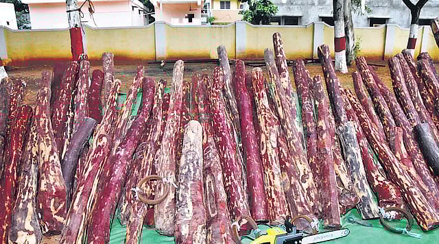 Odisha to auction 771 tonnes red sanders this year