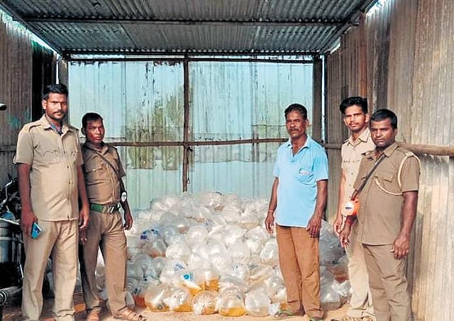 Illegal prawn seeds worth Rs 5 Lakh seized in Bhitarkanika