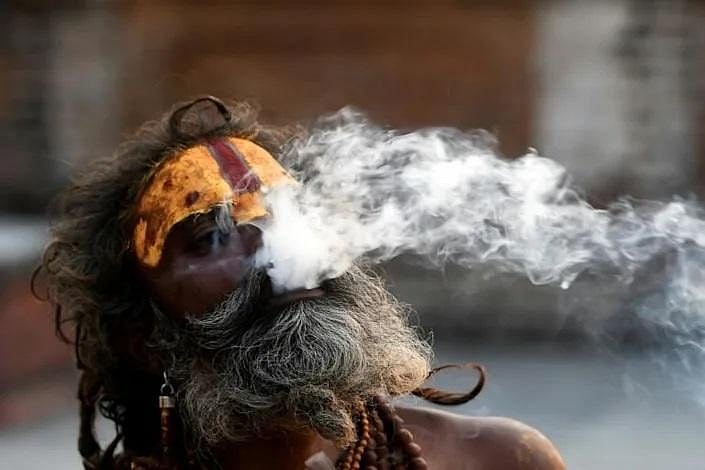Nepal ganja campaign seeks return of Himalayan high times