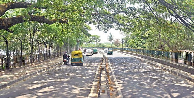 Mobility experts, greens oppose Sankey Road plan