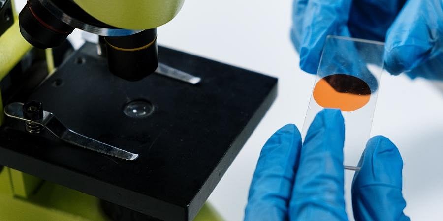 Culture ministry to study ‘racial purity’ of Indians